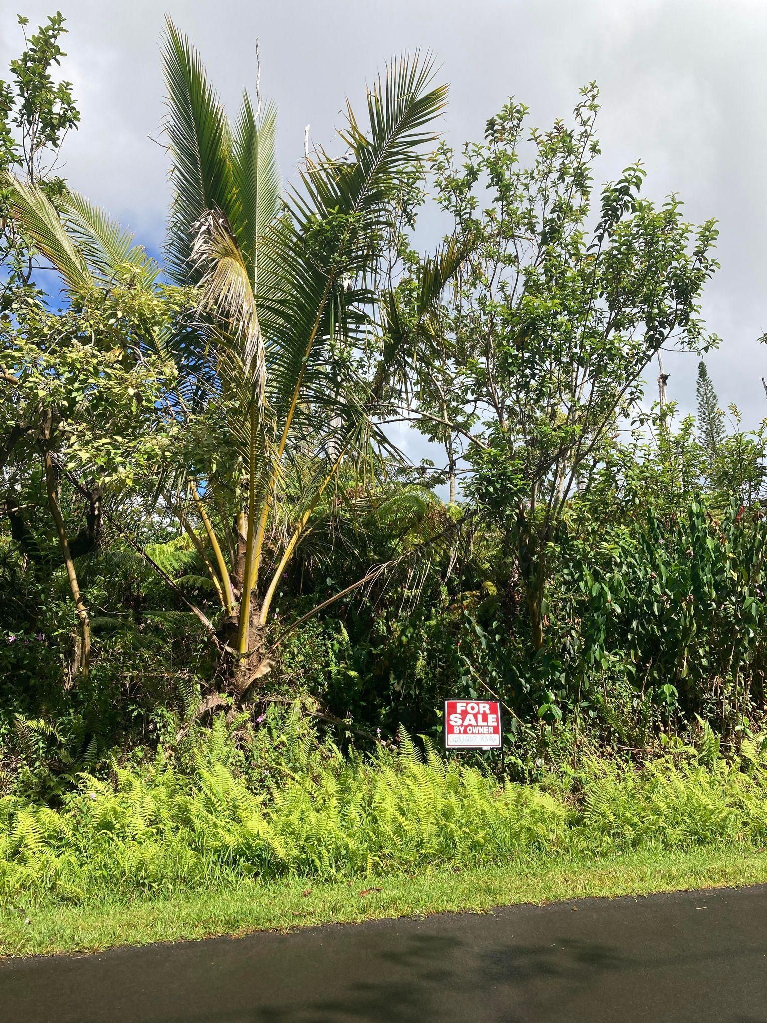 Pahoa, Hawaii County, HI Farms and Ranches, Undeveloped Land, Homesites ...