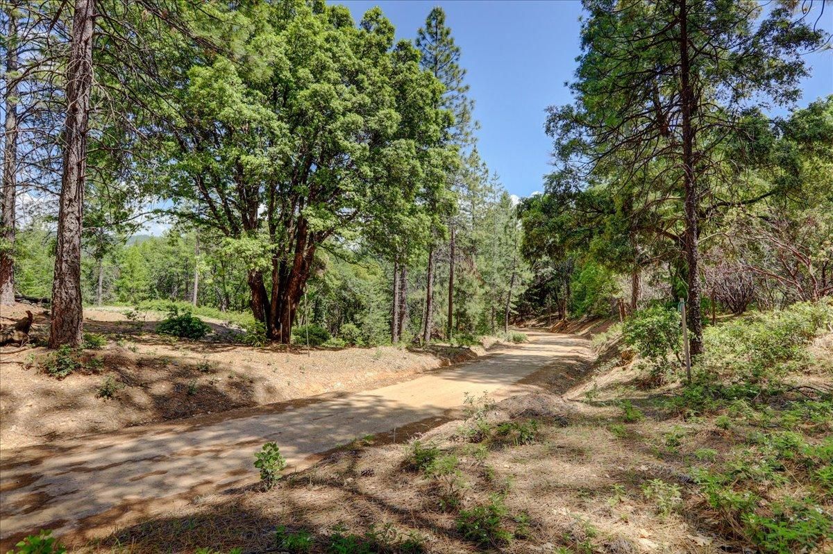 16890 Red Dog Road, Nevada City, CA 95959 | MLS: 223051812 | LandWatch
