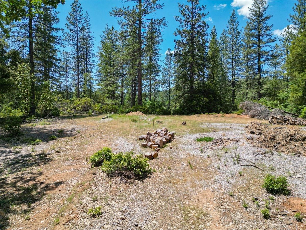 16856 Red Dog Road, Nevada City, CA 95959 | MLS: 223051652 | LandWatch