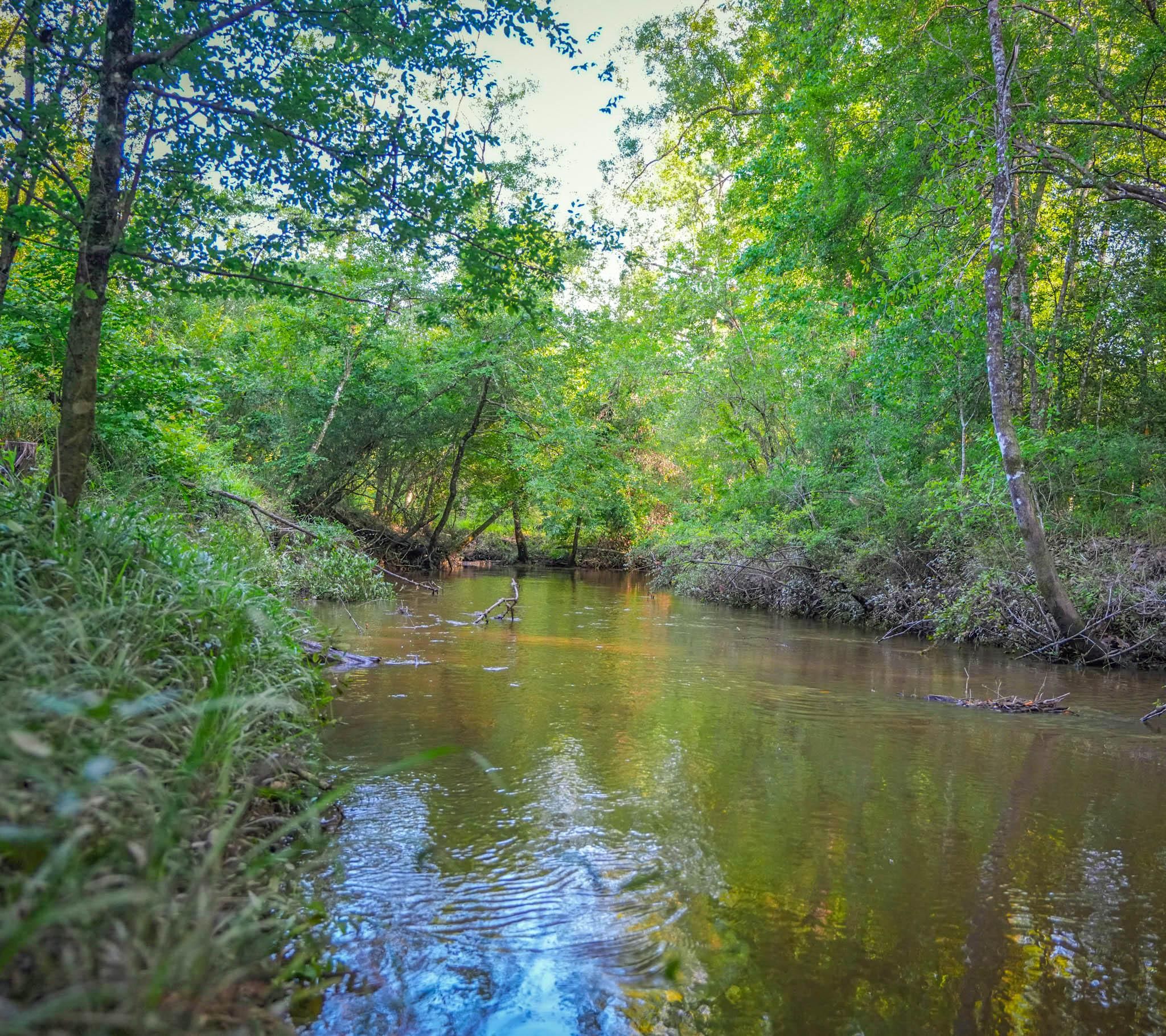 Warren, Tyler County, TX Recreational Property, Hunting Property ...