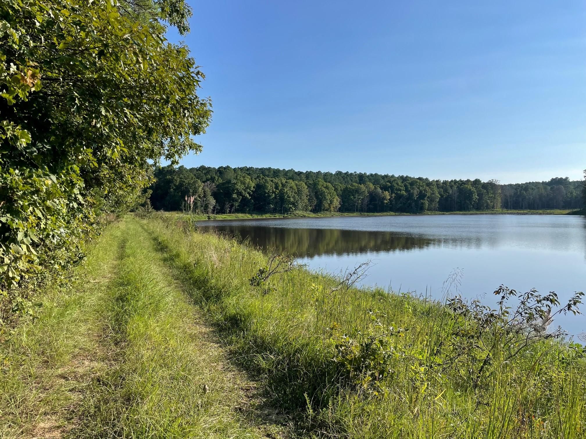 County Road 260, Bruce, MS 38915 | LandWatch