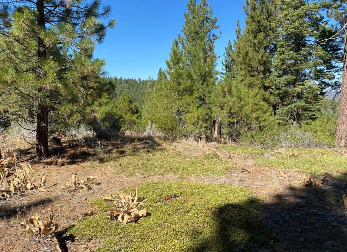 Alturas, Modoc County, CA Undeveloped Land, Homesites for sale Property ...