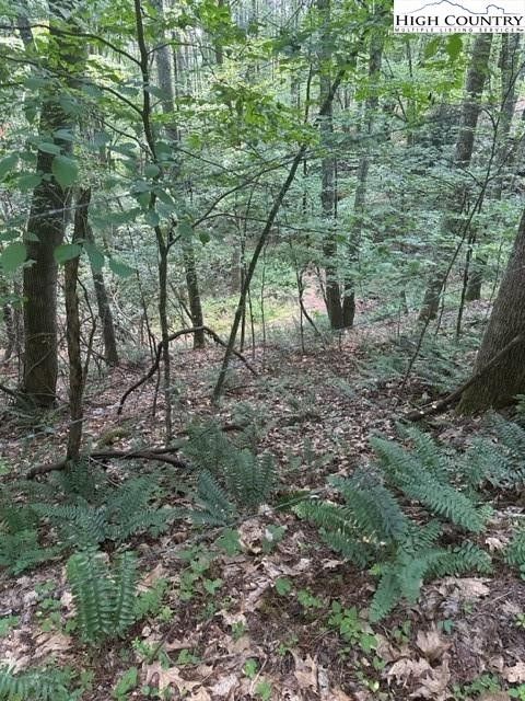 Crumpler, Ashe County, NC Farms and Ranches, Homesites for sale ...