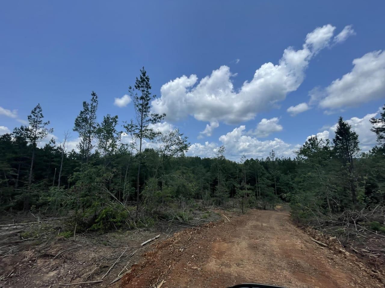 65.77 acres in Clinton, AR, 72031 | LandWatch