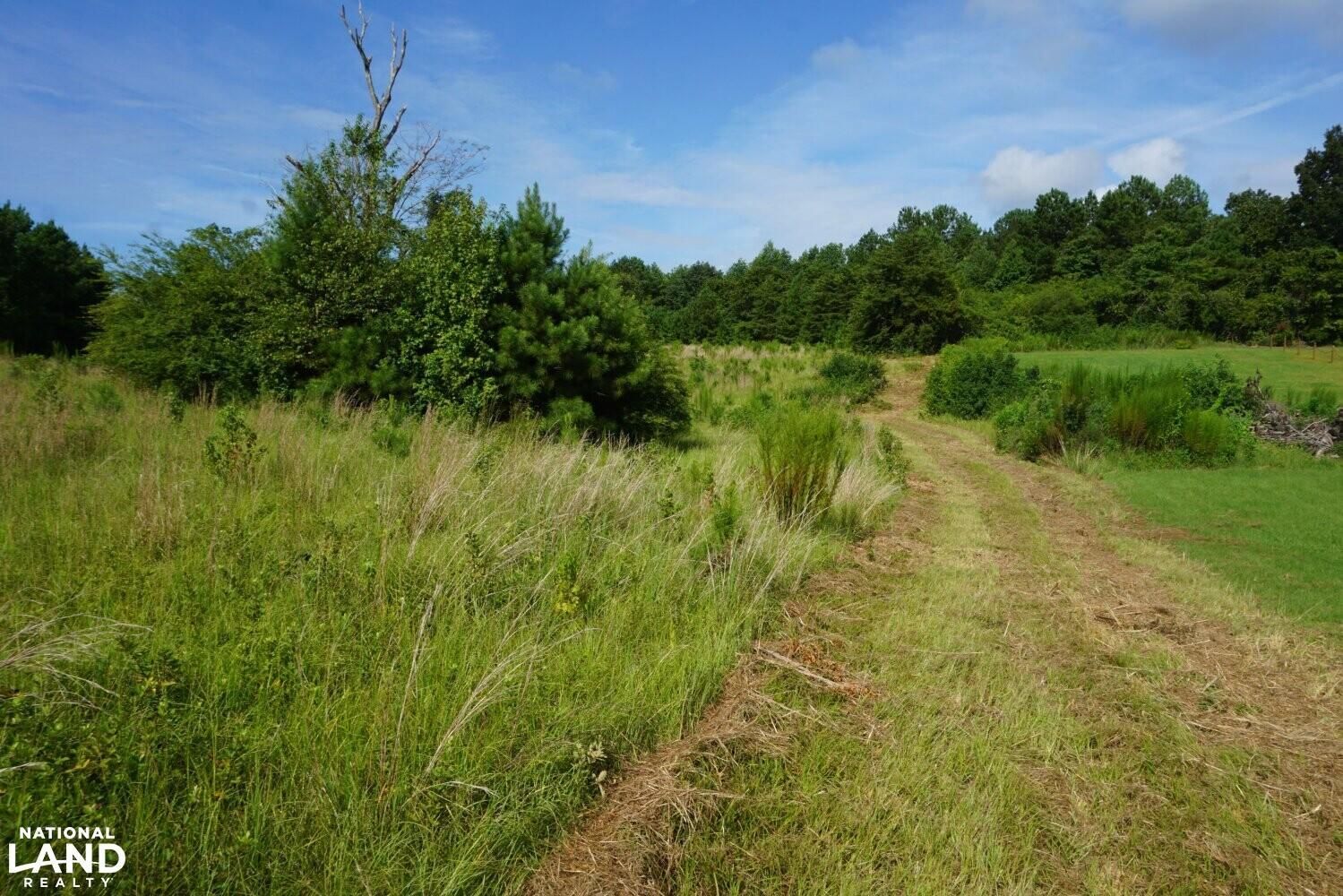 0 Bama Rock Garden Road, Vance, AL 35490 | LandWatch