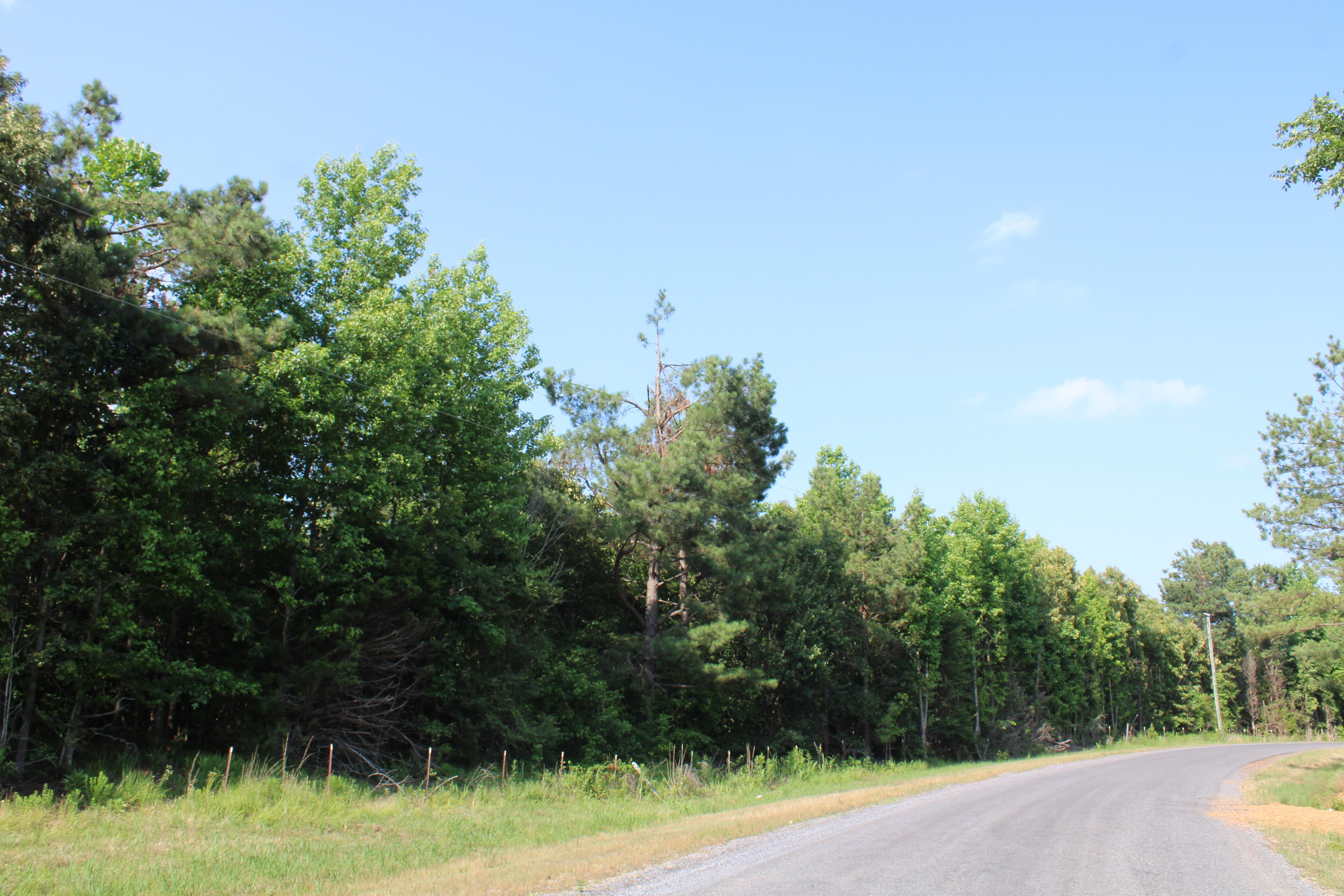 1001 Longtown Road, Sarah, MS 38665 | MLS: 4050613 | LandWatch