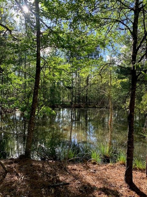 Meadville, Franklin County, MS Farms and Ranches, Lakefront Property ...