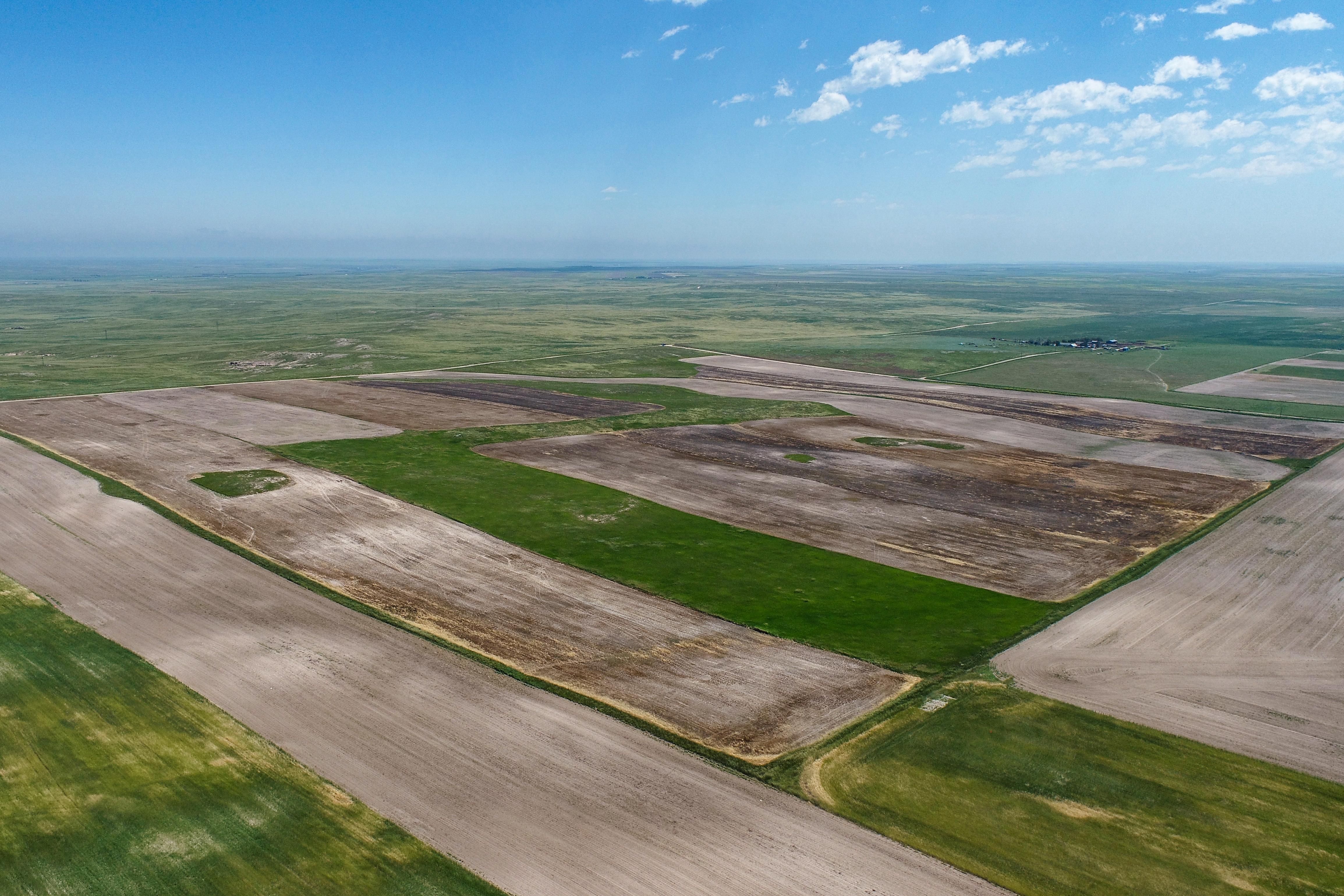 Bushnell, Kimball County, NE Farms and Ranches, Hunting Property for ...