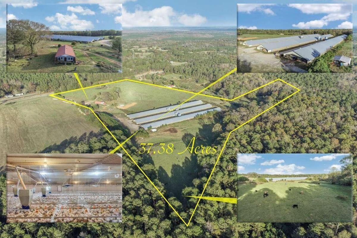 Carlton, Madison County, GA Farms and Ranches for sale Property ID ...