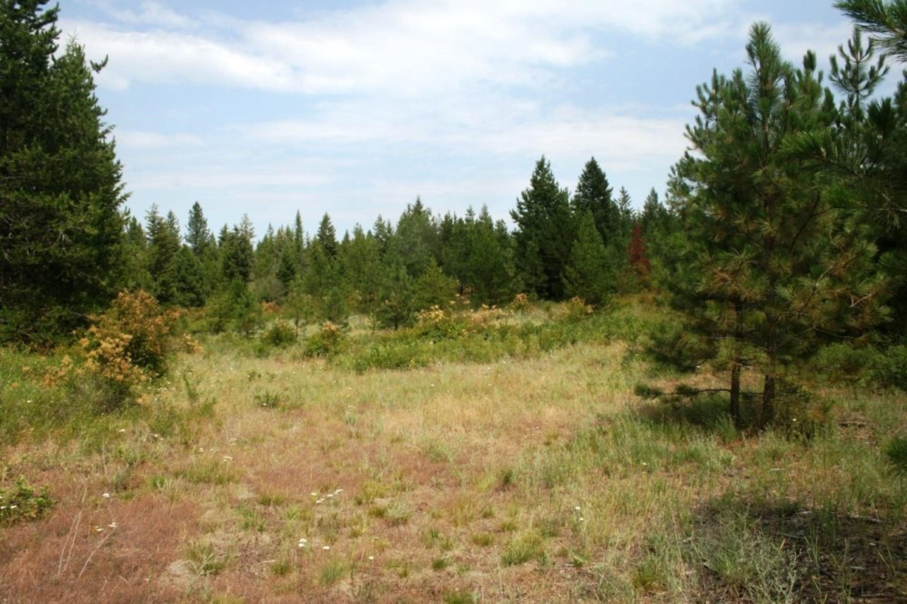 Elk, Spokane County, WA Undeveloped Land for sale Property ID ...