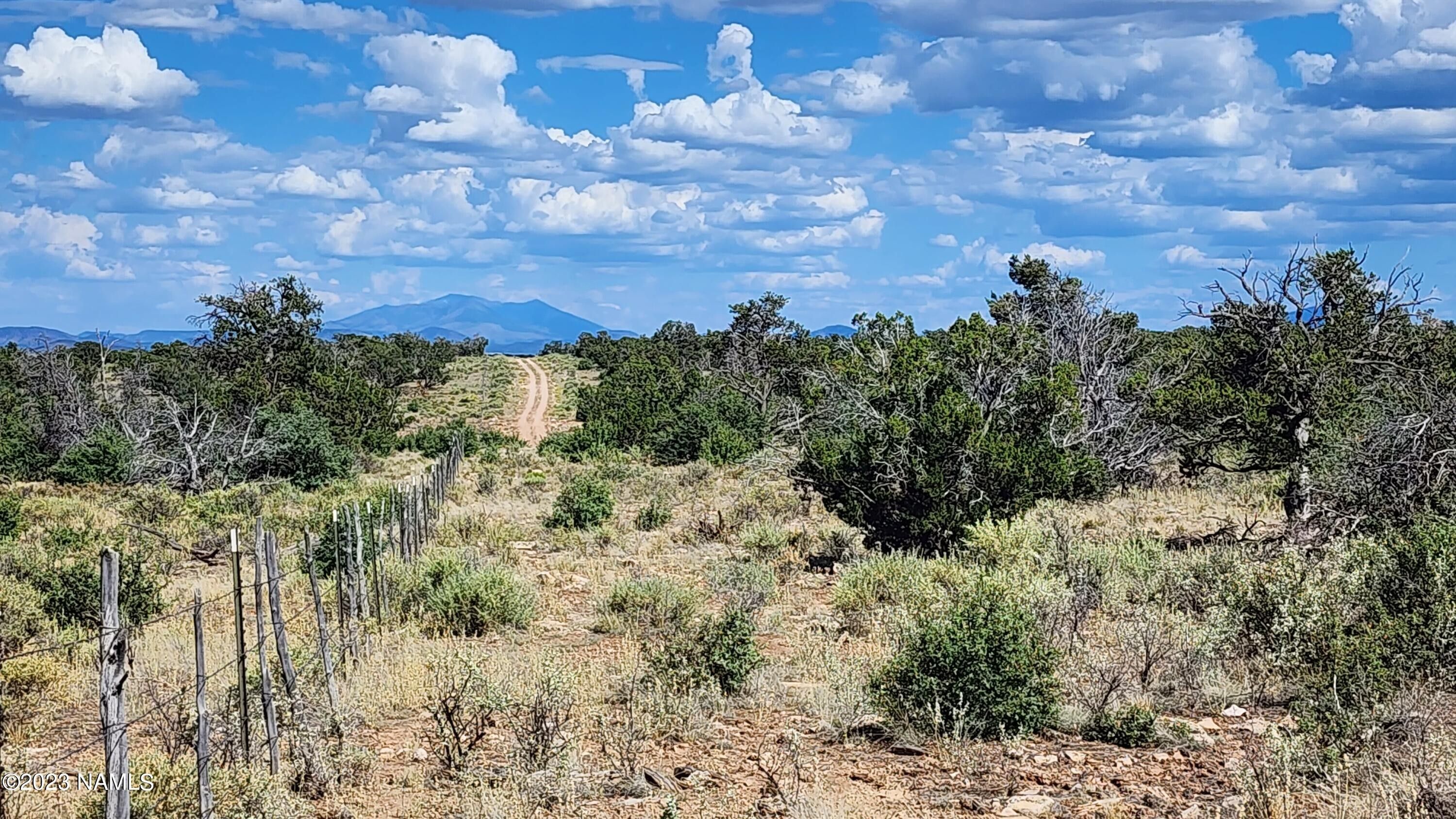 Williams, Coconino County, AZ Undeveloped Land for sale Property ID ...