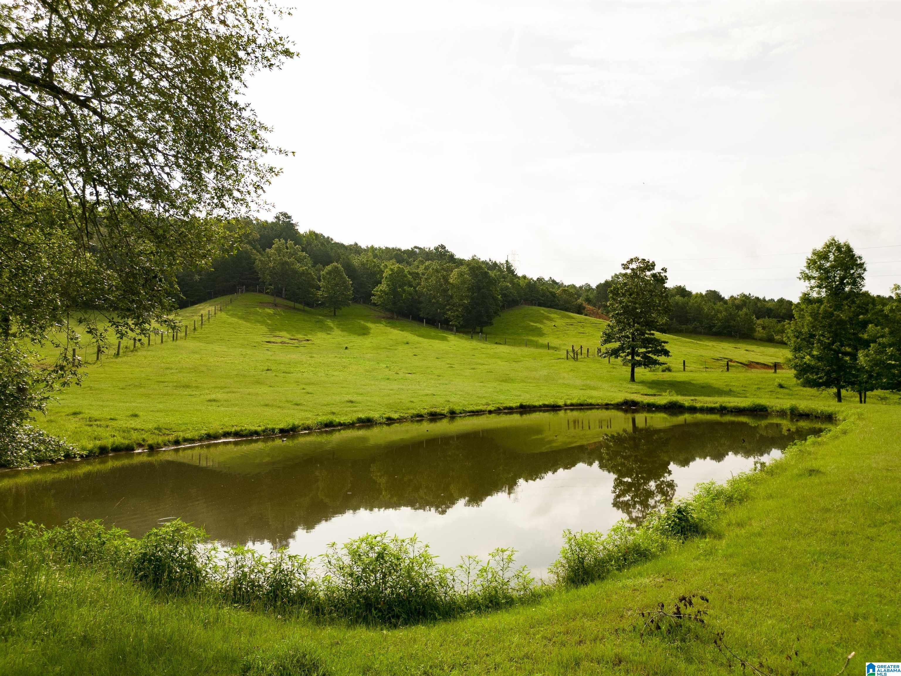 Dora, Jefferson County, AL Farms and Ranches for sale Property ID ...