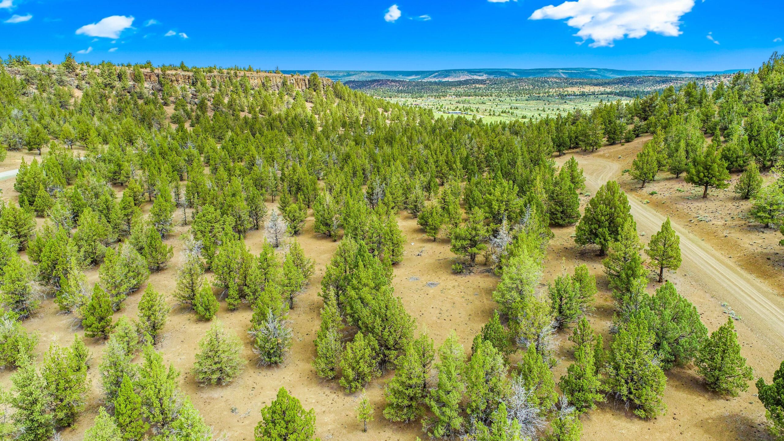 0.34 acres in California Pines, CA, 96101 | LandWatch
