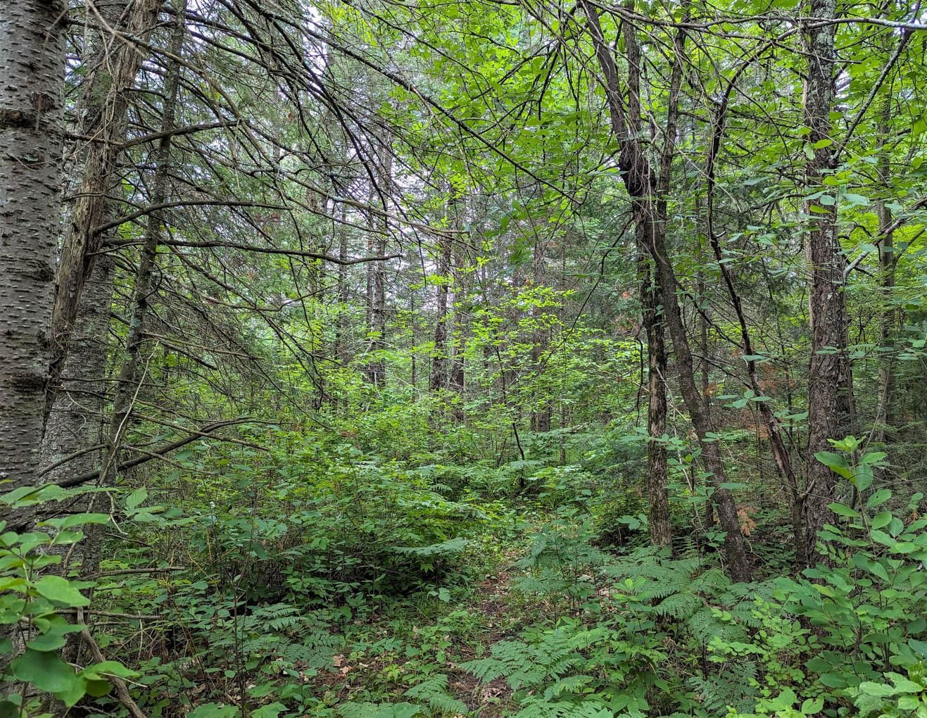 State Highway 70, Winter, WI 54896 | LandWatch