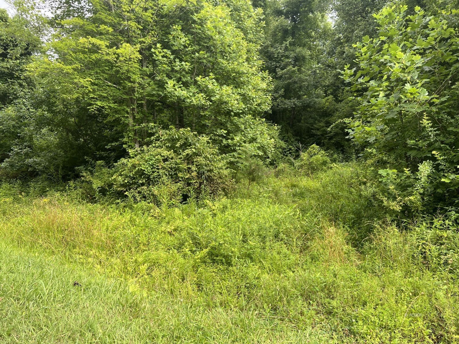 Portland, Meigs County, OH Farms and Ranches for sale Property ID ...