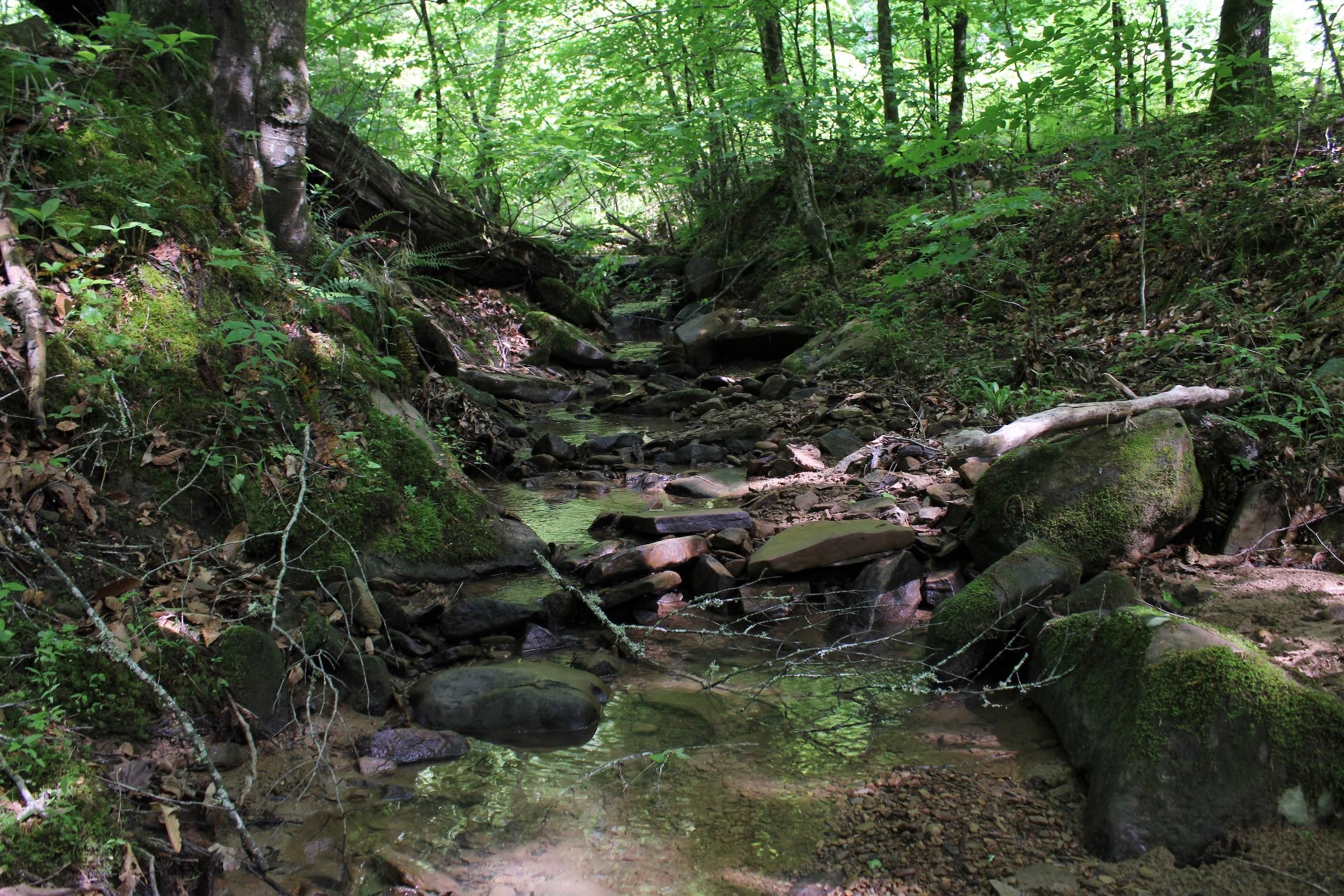 Mill Branch, Wayland, KY 41666 | LandWatch