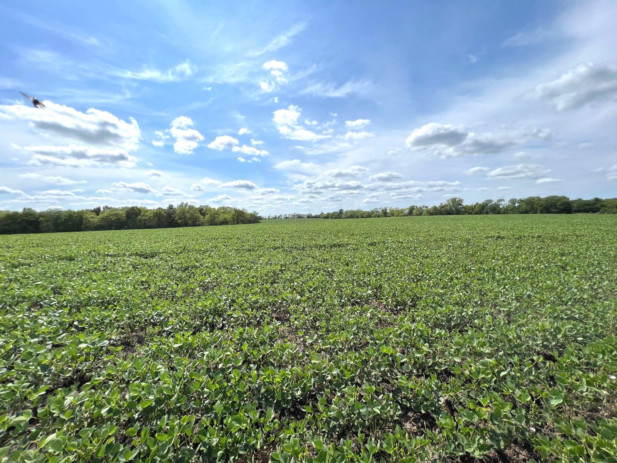 Trenton, Daviess County, MO Farms and Ranches, Recreational Property ...