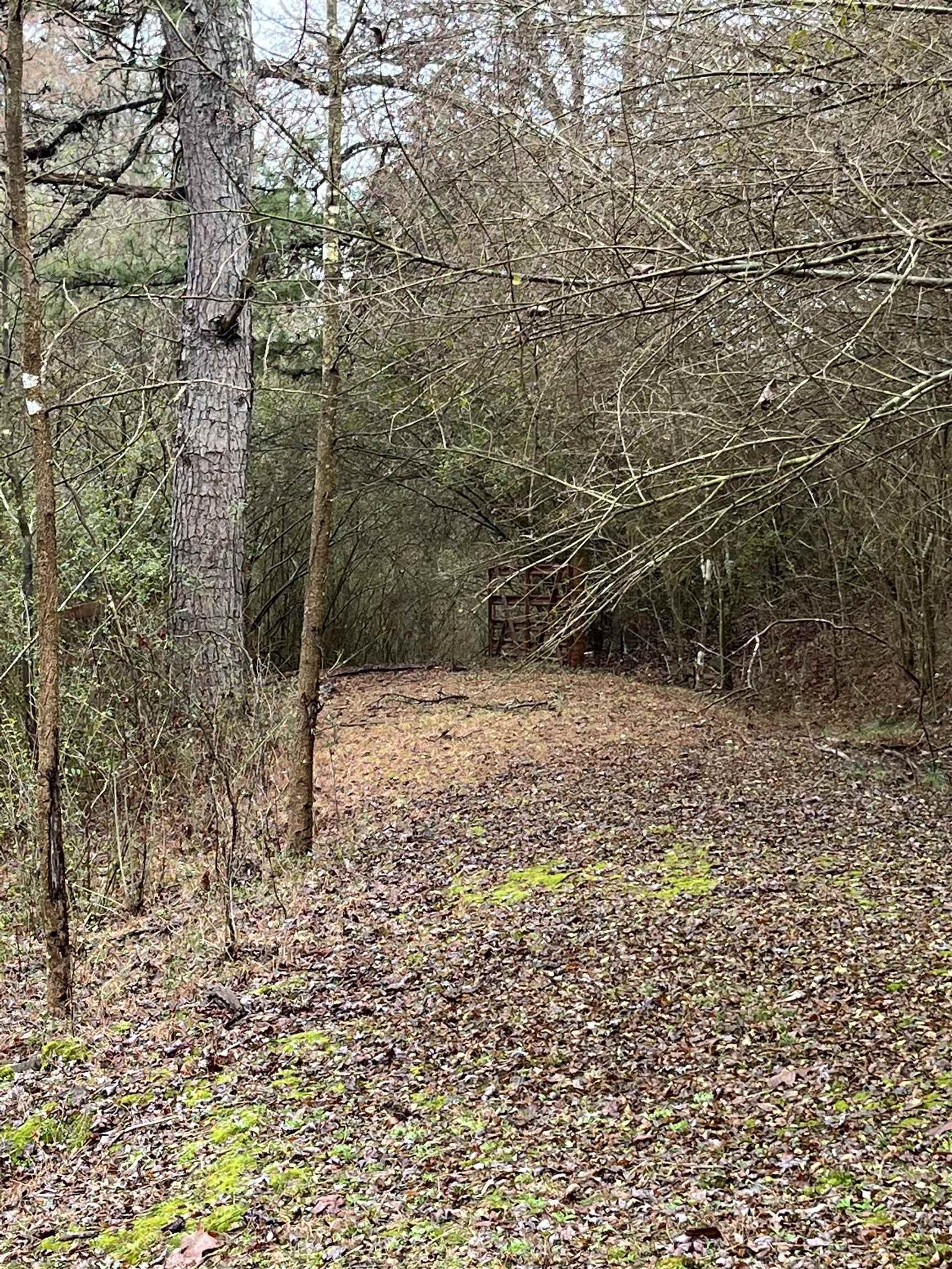 Bee Branch, Van Buren County, AR Farms and Ranches for sale Property ID ...