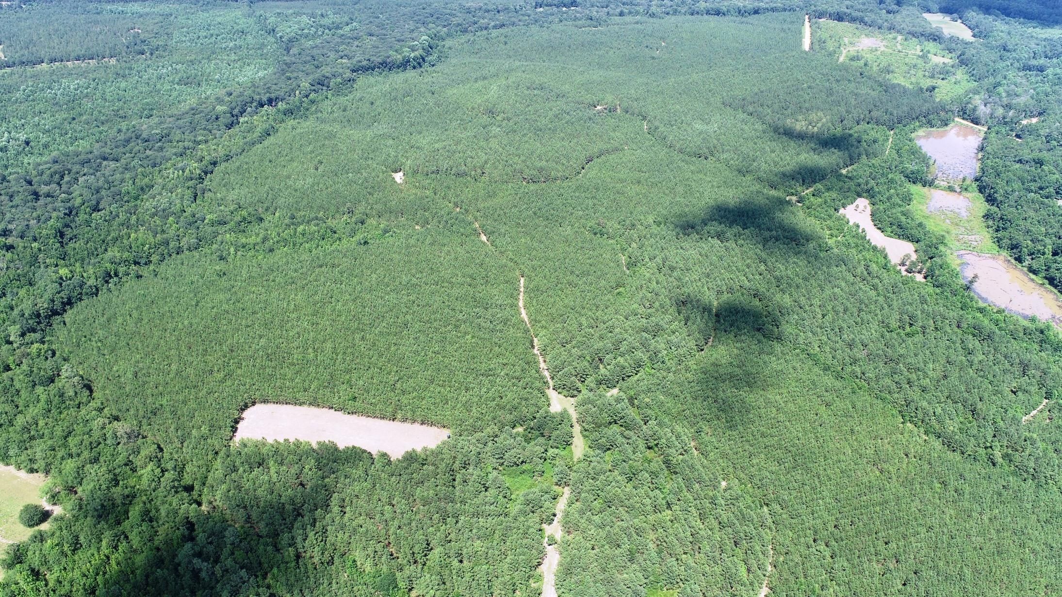 Keysville, Burke County, GA Recreational Property, Timberland Property ...