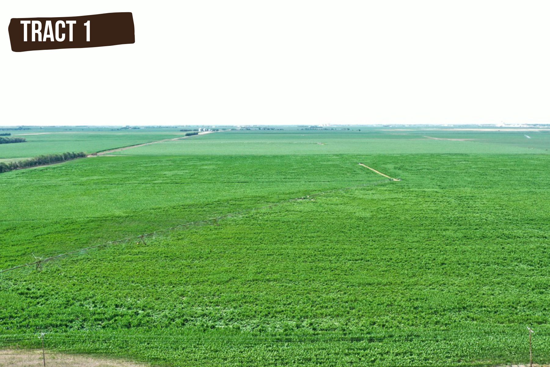 Geneva, Fillmore County, NE Farms and Ranches, Undeveloped Land for ...