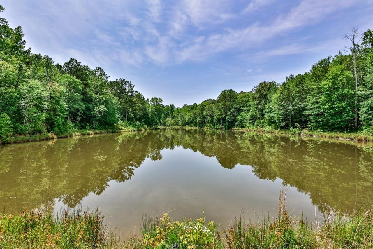 296.83 acres in Stephens, GA, 30667 | LandWatch