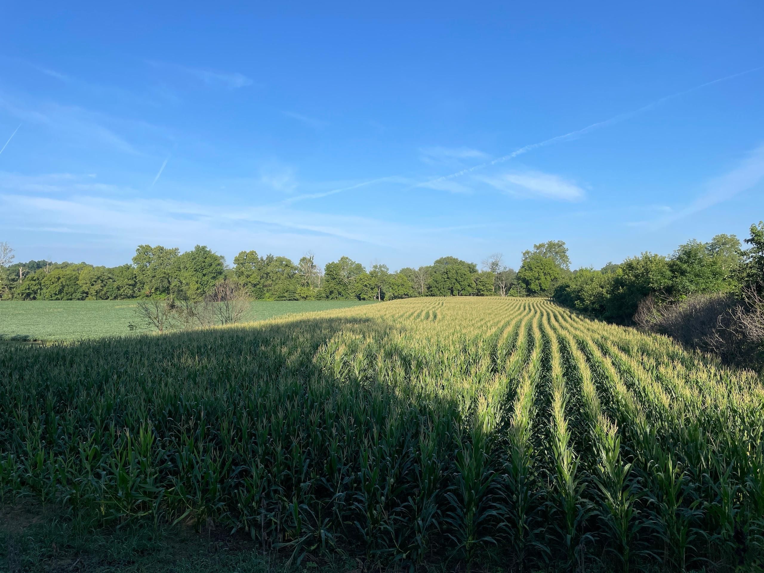 Velpen, Pike County, IN Farms and Ranches, Recreational Property ...