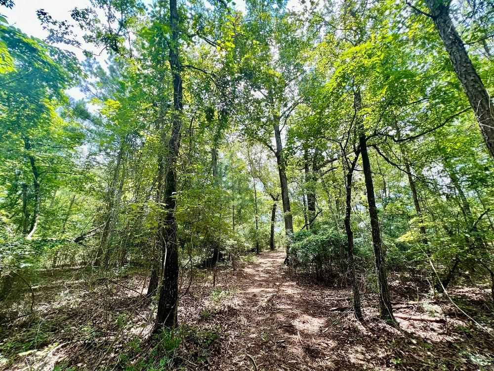 Butler, Taylor County, GA Recreational Property, Undeveloped Land for ...