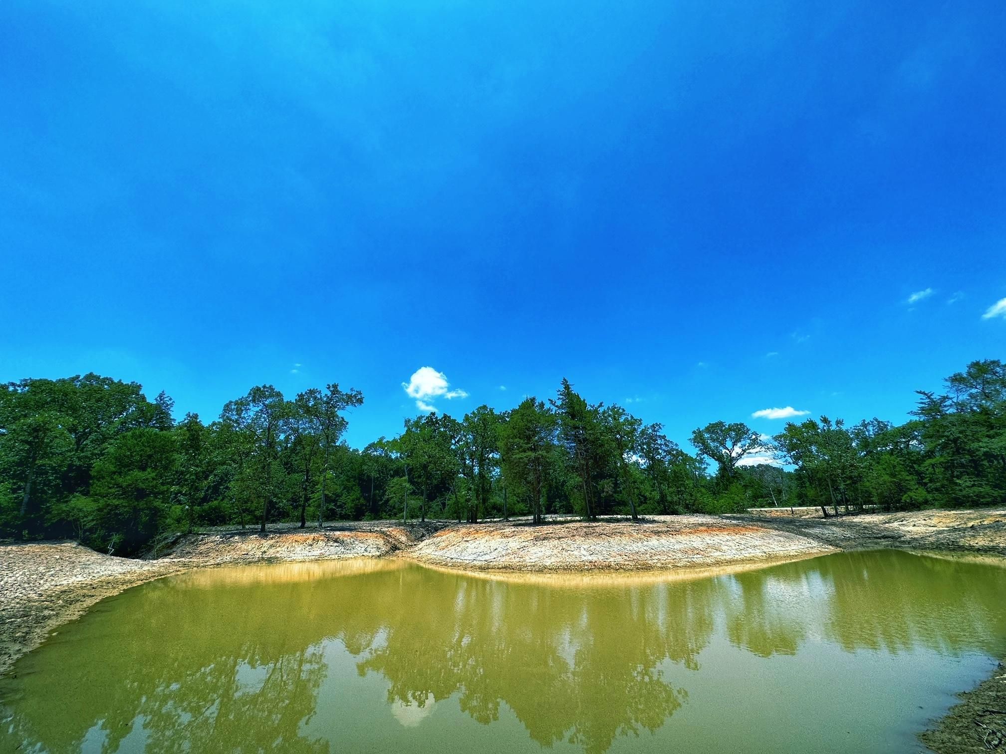 Buffalo, Leon County, TX Recreational Property, Hunting Property for ...