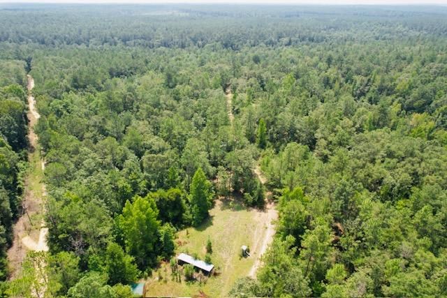 Phillipsville Rd, Bay Minette, AL 36507 | MLS: 70105 | LandWatch
