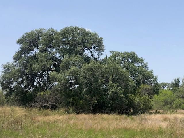 Beeville, Bee County, TX Farms and Ranches for sale Property ID ...