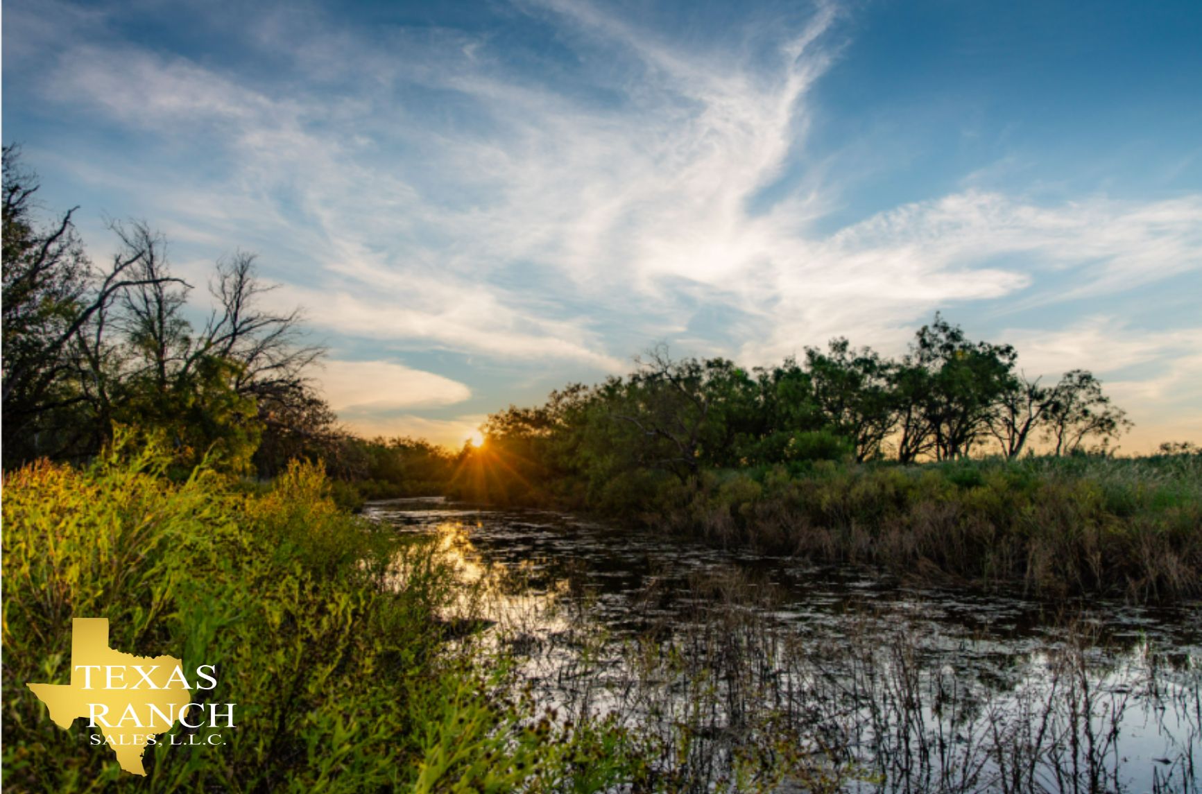1,388 acres in Melvin, TX, 76858 | LandWatch