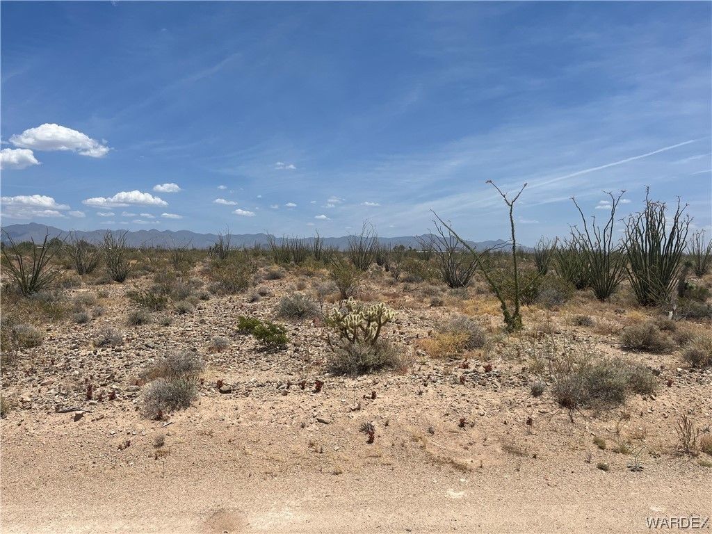 Yucca, Mohave County, AZ Farms and Ranches, Homesites for sale Property ...