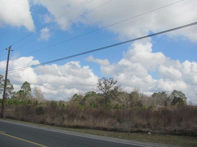 Hazlehurst, Jeff Davis County, GA Undeveloped Land for sale Property ID ...