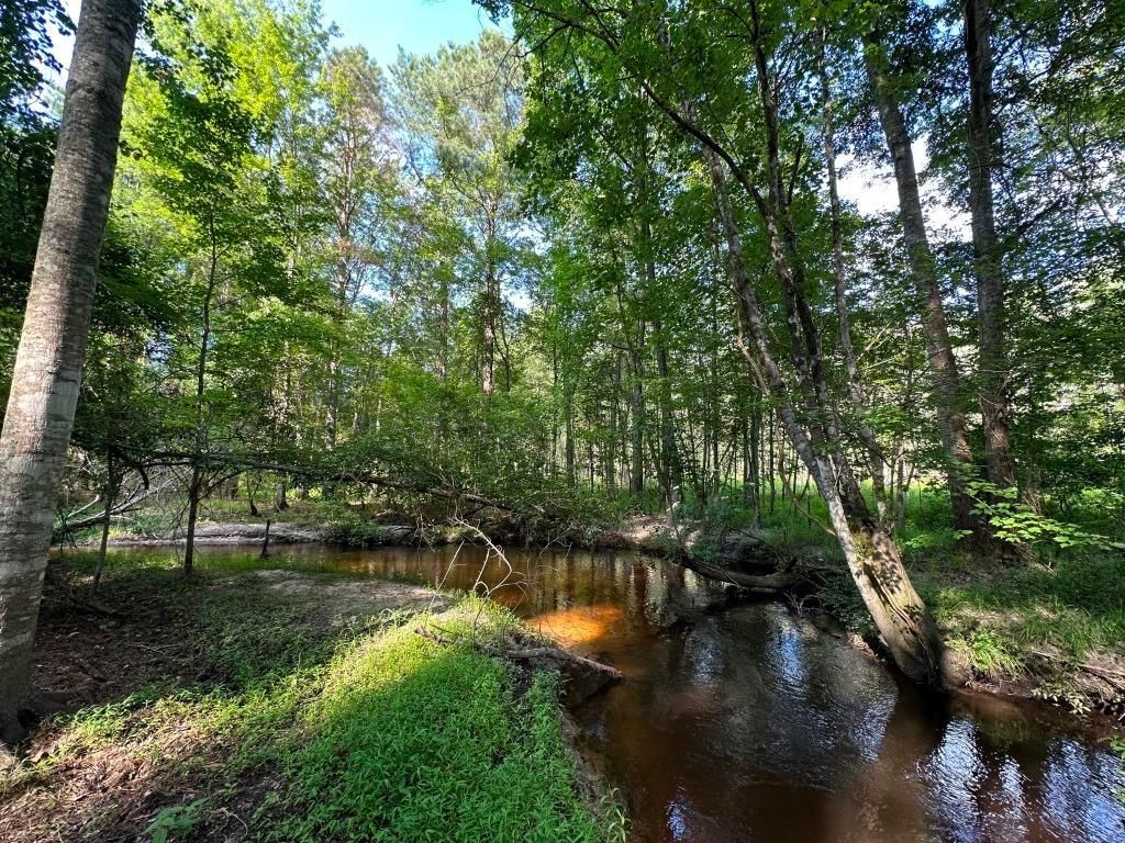 122 acres in Norway, SC, 29113 | MLS: 3061C Willow Swamp Tract | LandWatch