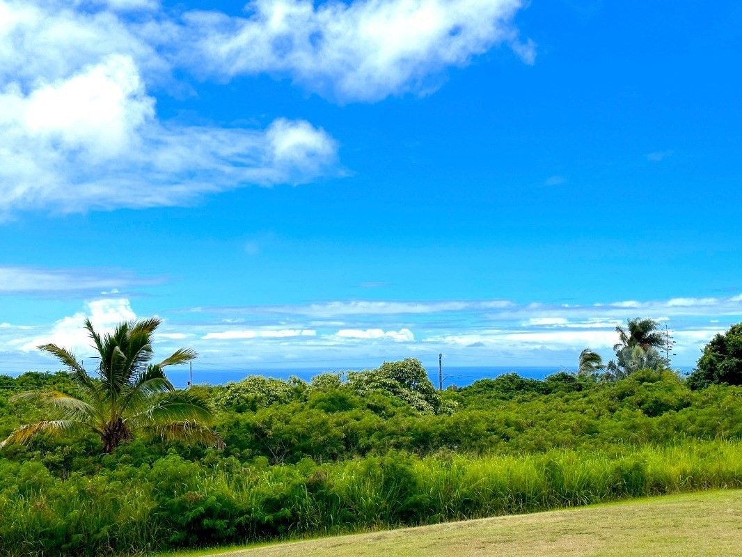 Naalehu, Hawaii County, HI Farms and Ranches, Homesites for sale ...