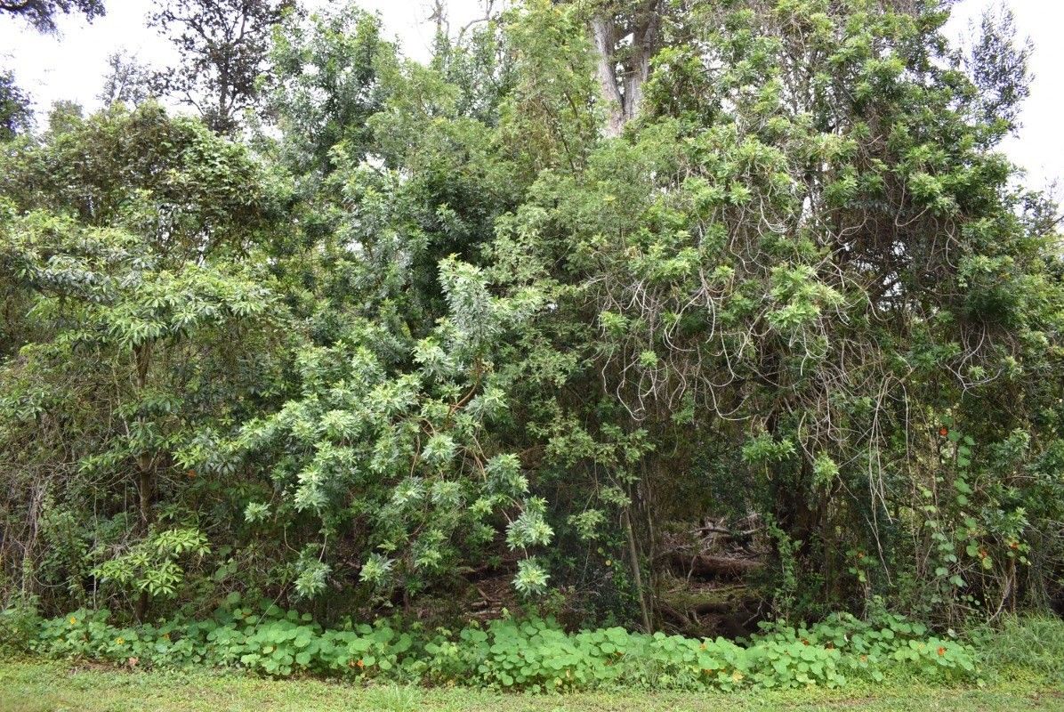 Ocean View, Hawaii County, HI Farms and Ranches, Homesites for sale ...