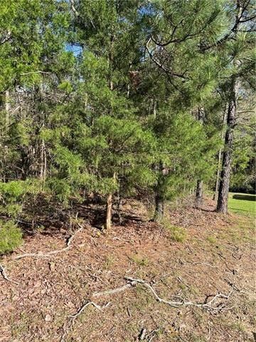 Dry Prong, Grant Parish, LA Undeveloped Land for sale Property ID ...