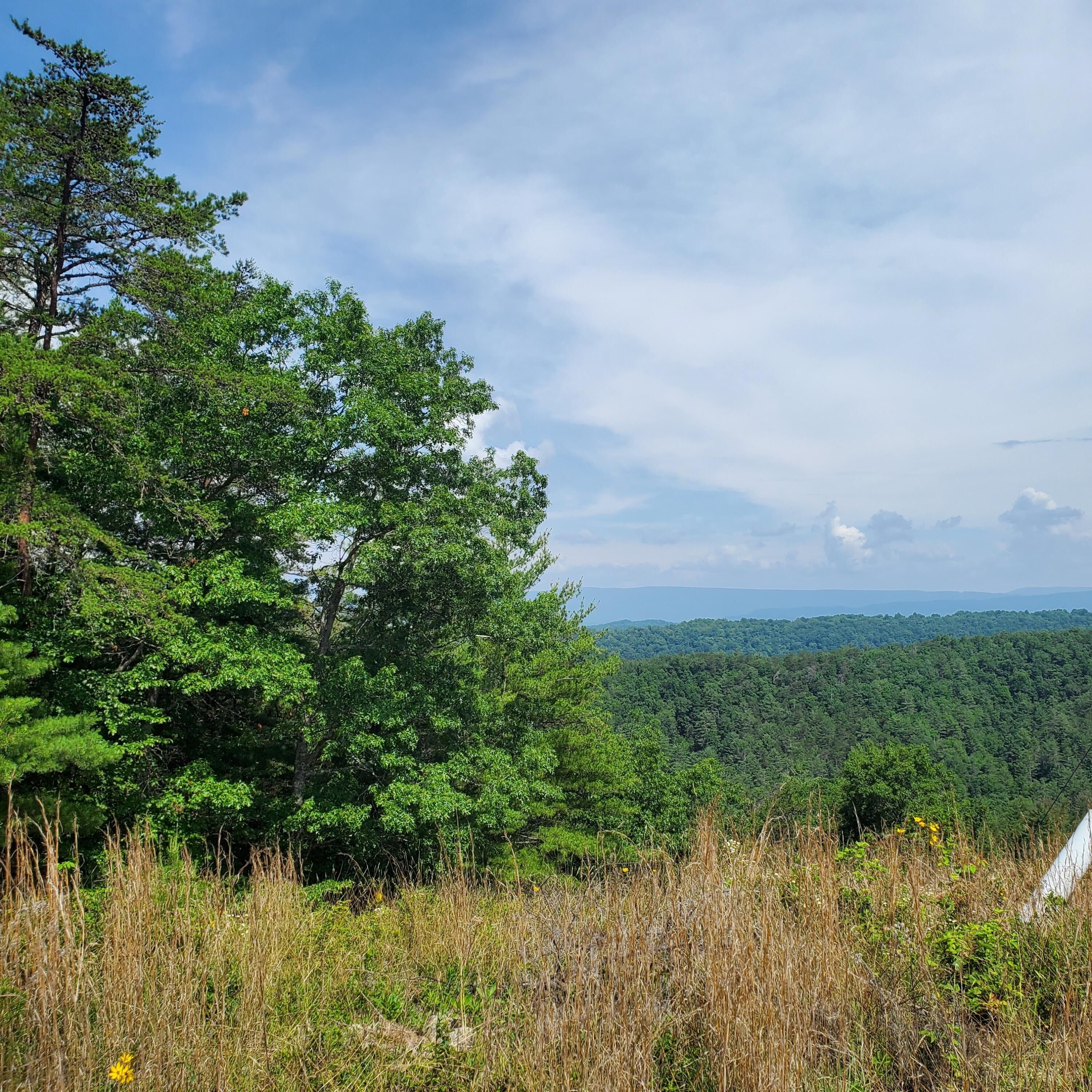 Millboro, Bath County, VA Farms and Ranches for sale Property ID ...