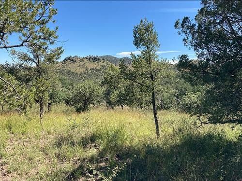 Fort Davis, Jeff Davis County, TX Undeveloped Land for sale Property ID ...