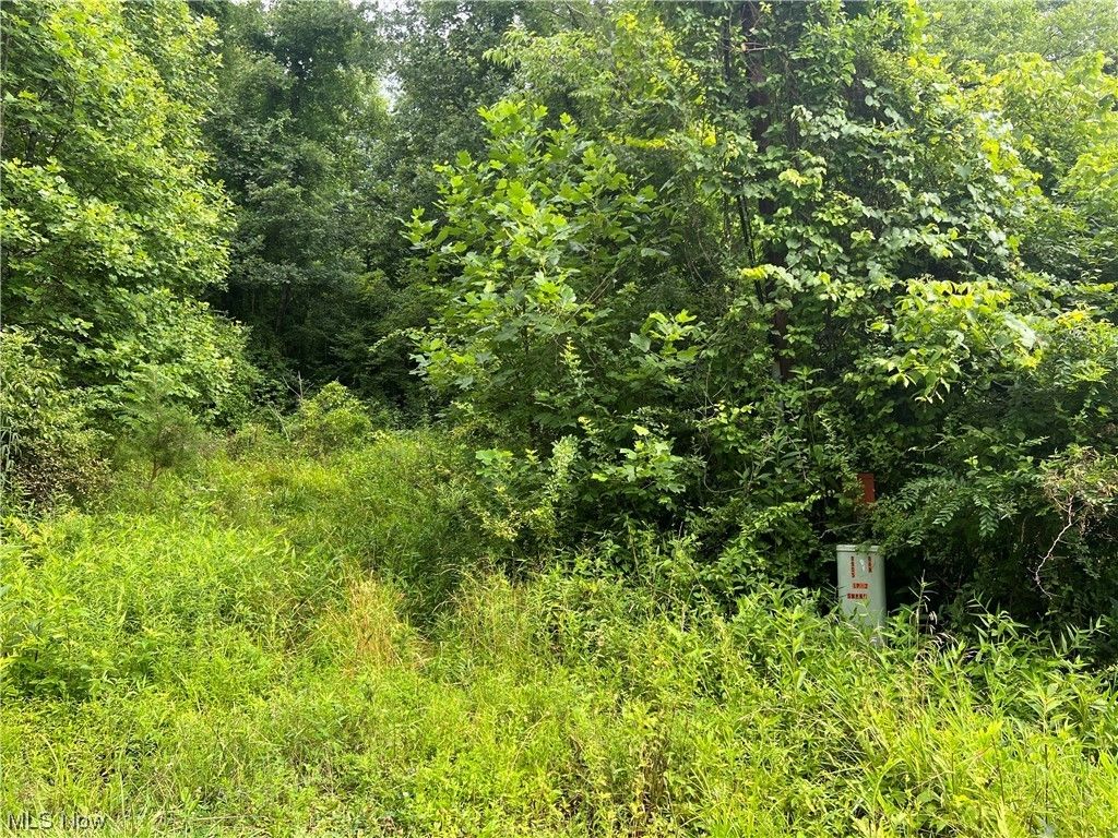 Portland, Meigs County, OH Undeveloped Land for sale Property ID ...