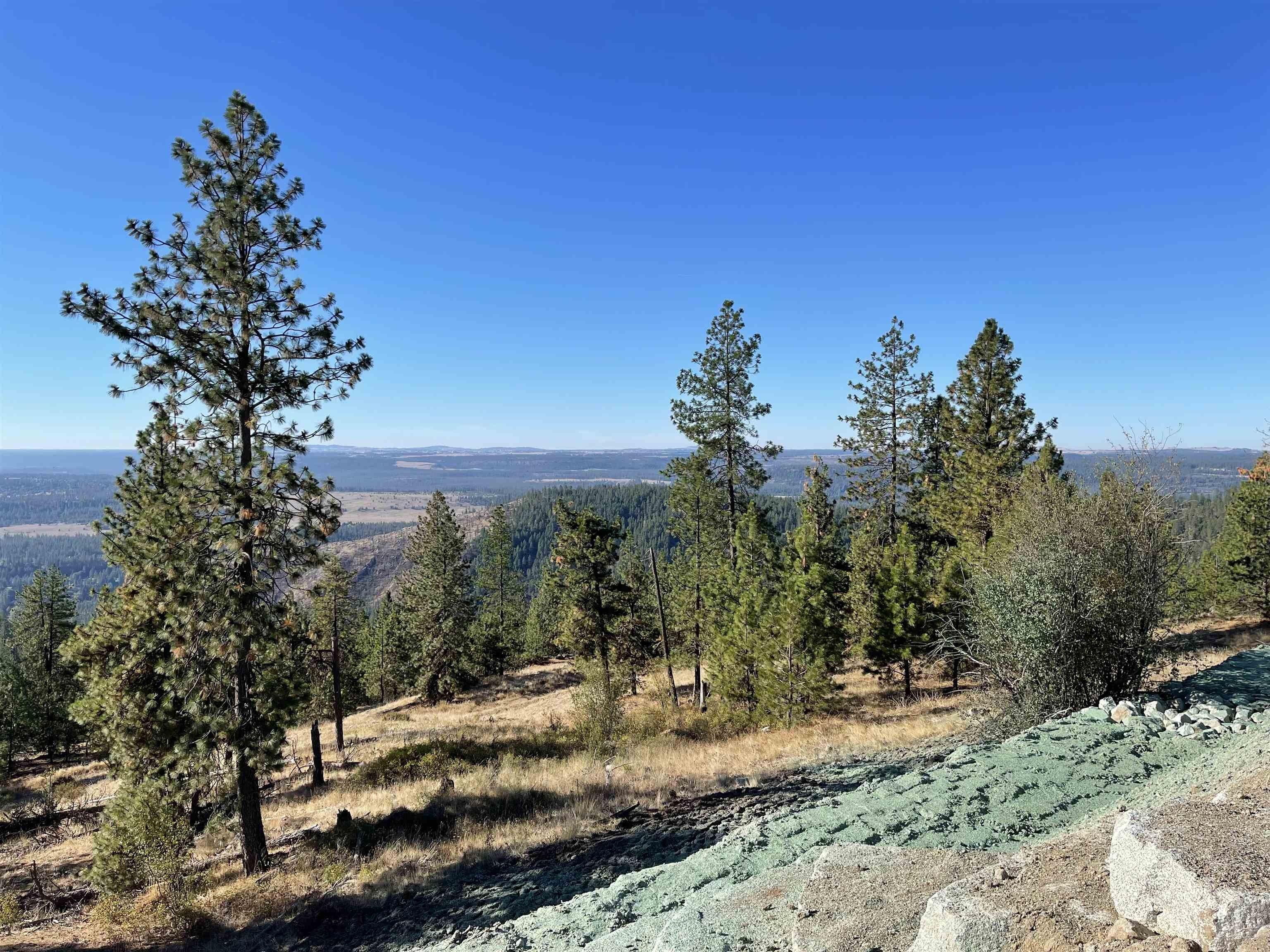 Spokane, Spokane County, WA Undeveloped Land for sale Property ID ...