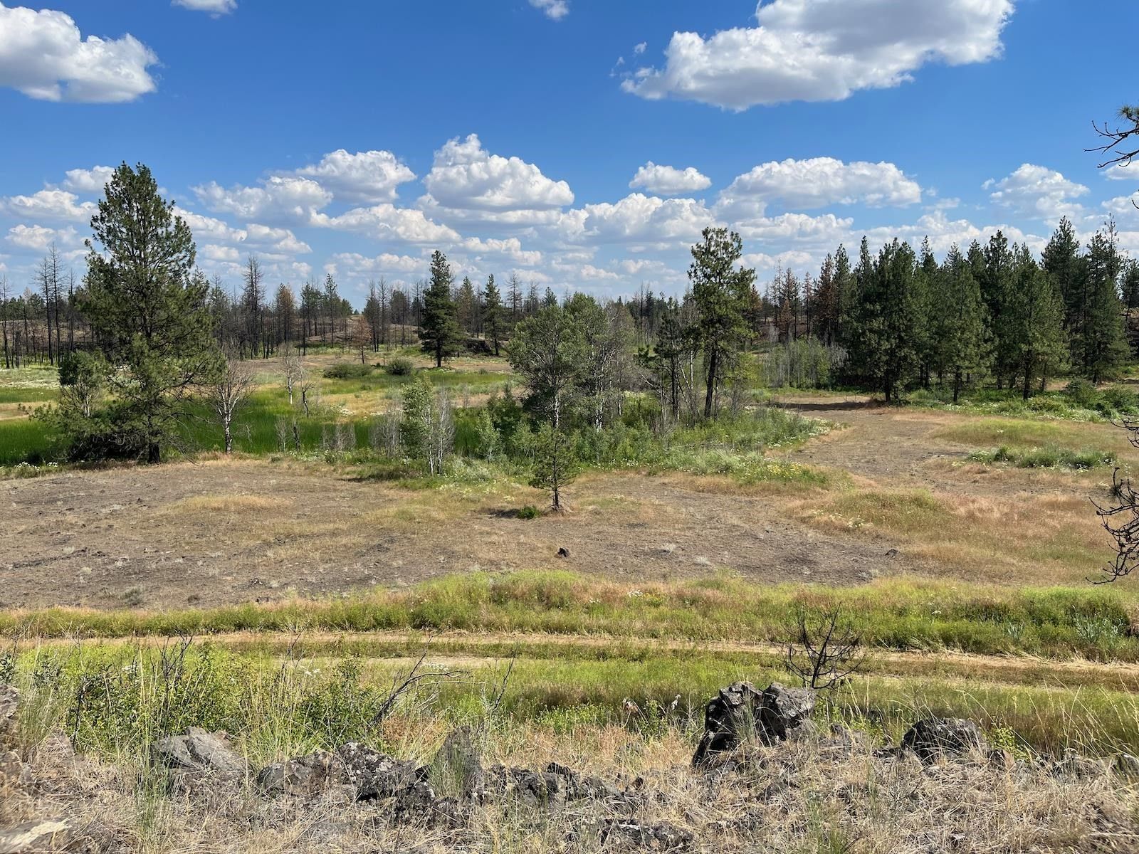 Davenport, Lincoln County, WA Farms and Ranches for sale Property ID ...