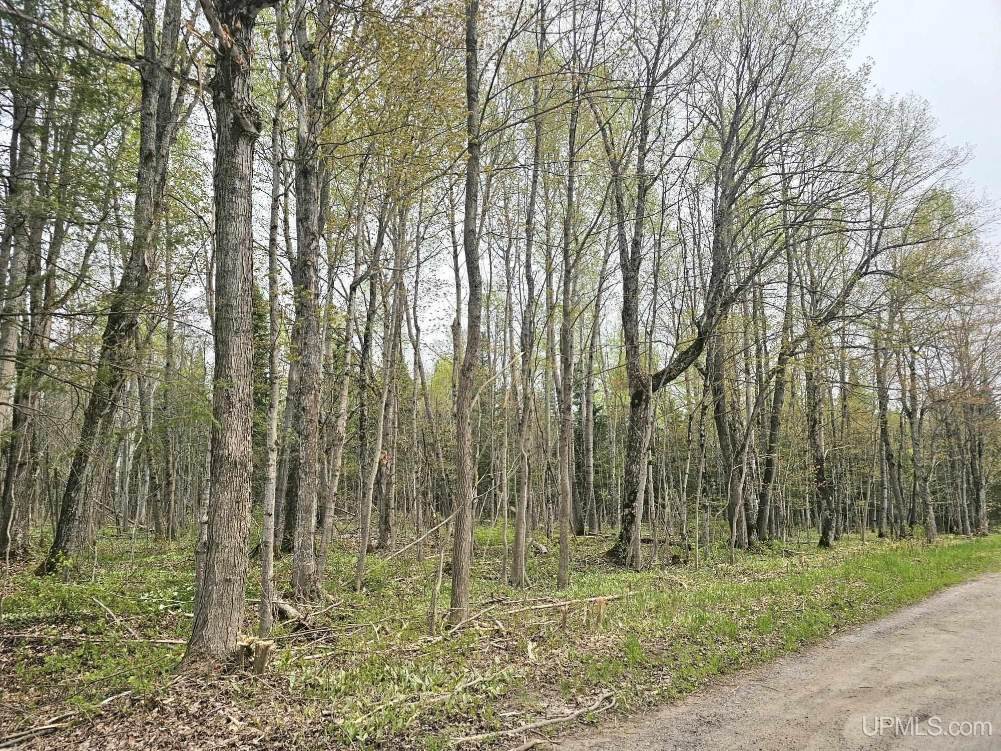 TBD Vanatta, Gulliver, MI 49840 | MLS: 50097458 | LandWatch