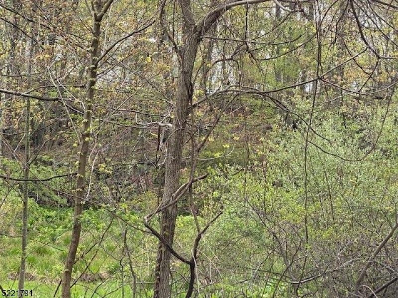 73 Glenwood Mt Rd, Beemerville, NJ 07461 | MLS: 3844458 | LandWatch