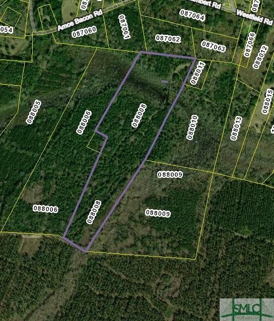 Midway, Liberty County, GA Undeveloped Land for sale Property ID ...