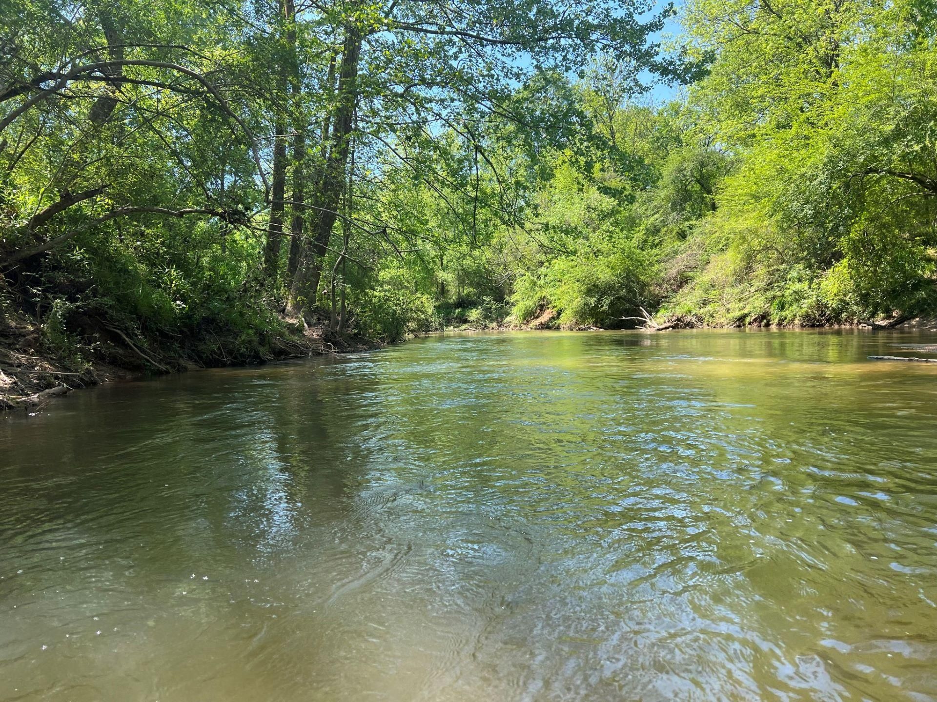 242 acres in Bluff Springs, AL, 36255 | LandWatch