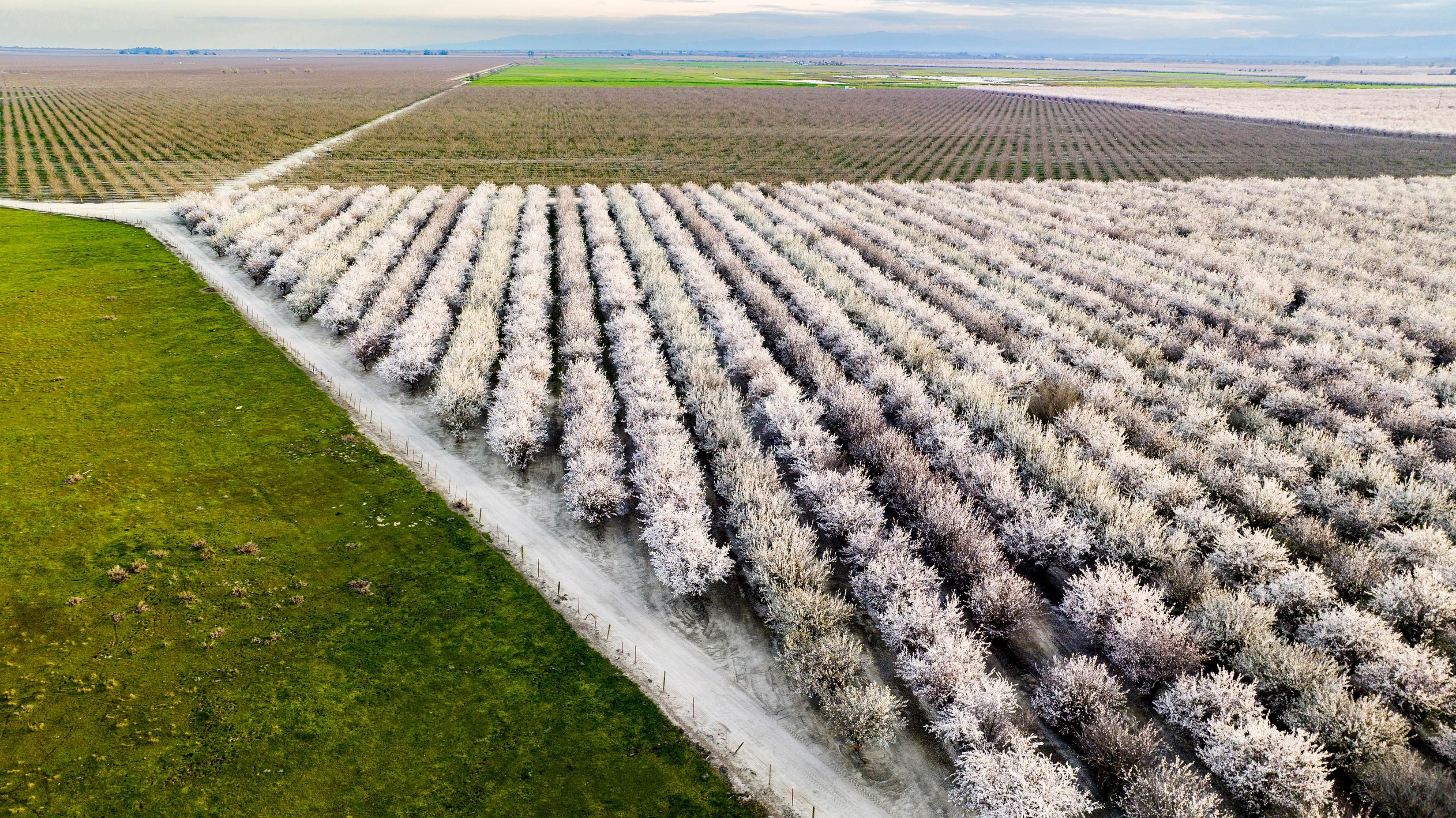 430.93 acres in Firebaugh, CA, 93622 | LandWatch