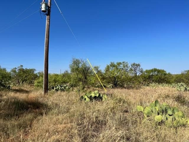 County Road 424, Roby, TX 79543 | MLS: 20393993 | LandWatch