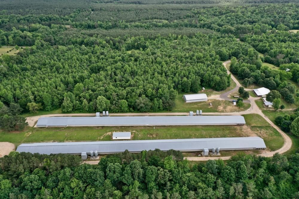 Glenwood, Pike County, AR Farms and Ranches for sale Property ID ...