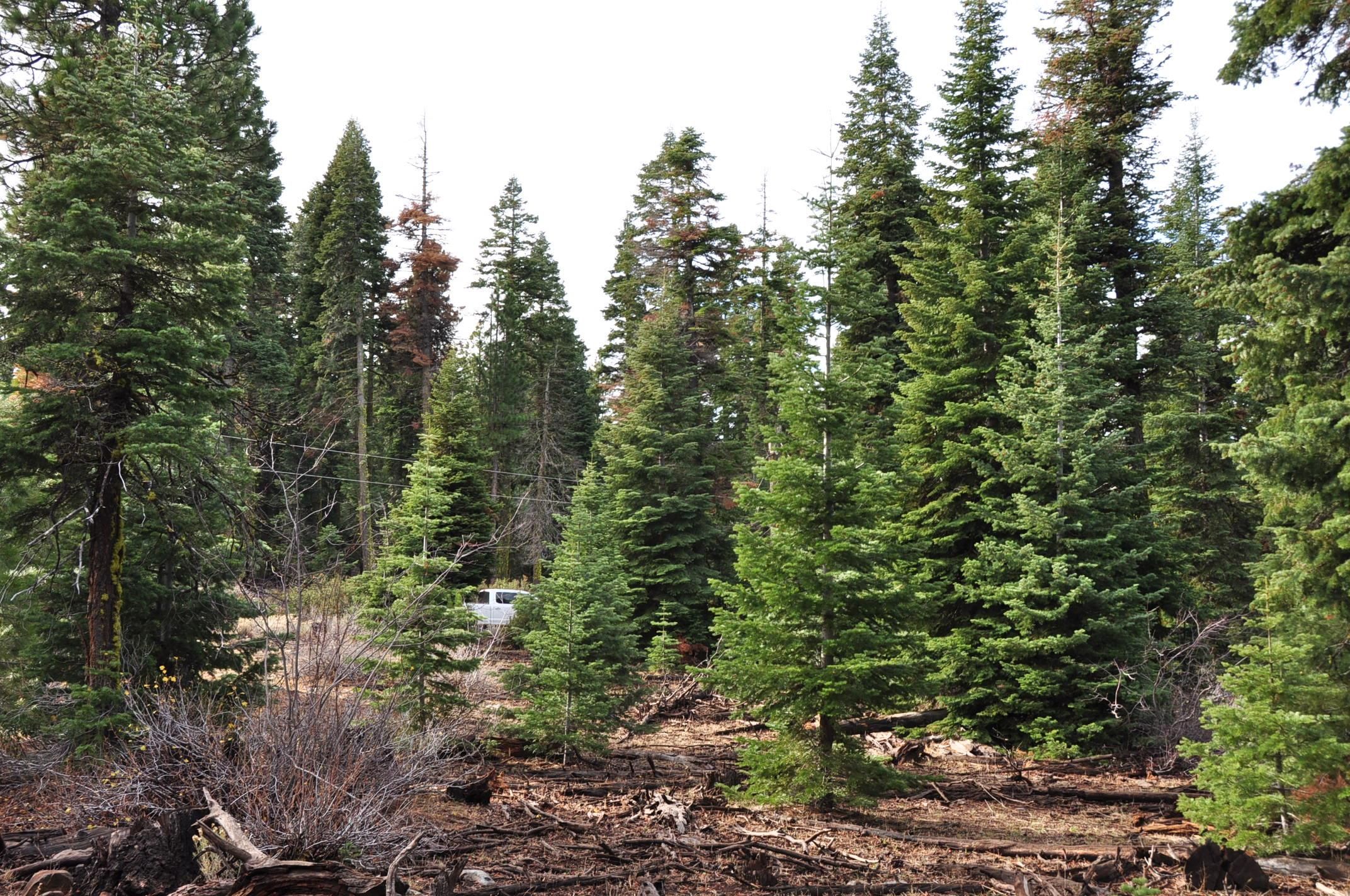 California Pines, Modoc County, CA Recreational Property, Hunting ...